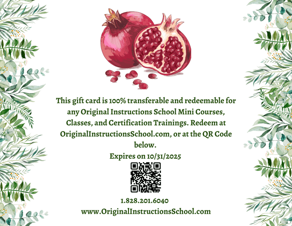 Original Instructions School Tuition Gift Card